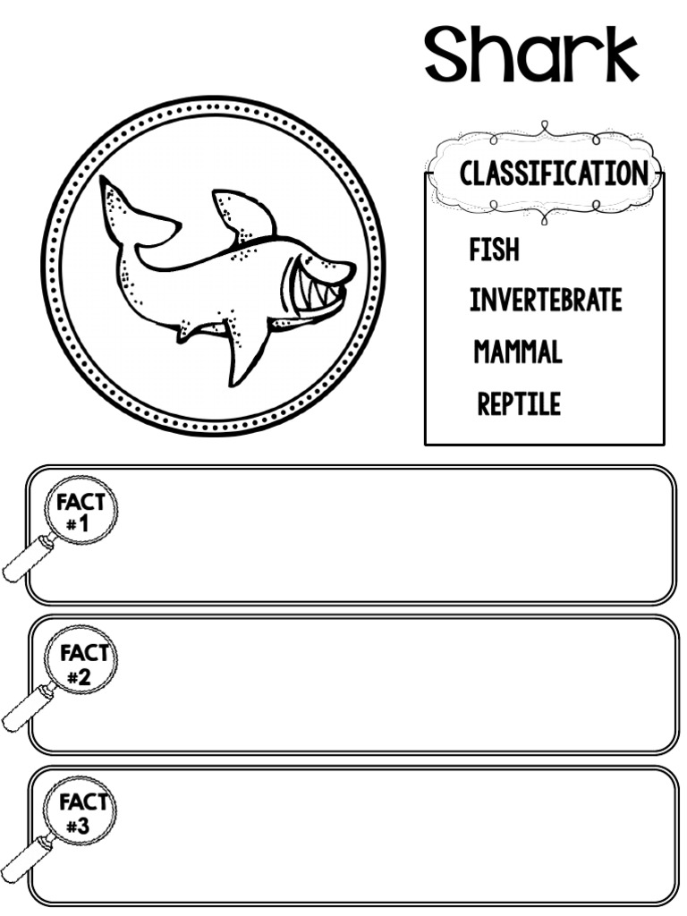 Shark Classification Overview | PDF | Aquatic Animals | Fish
