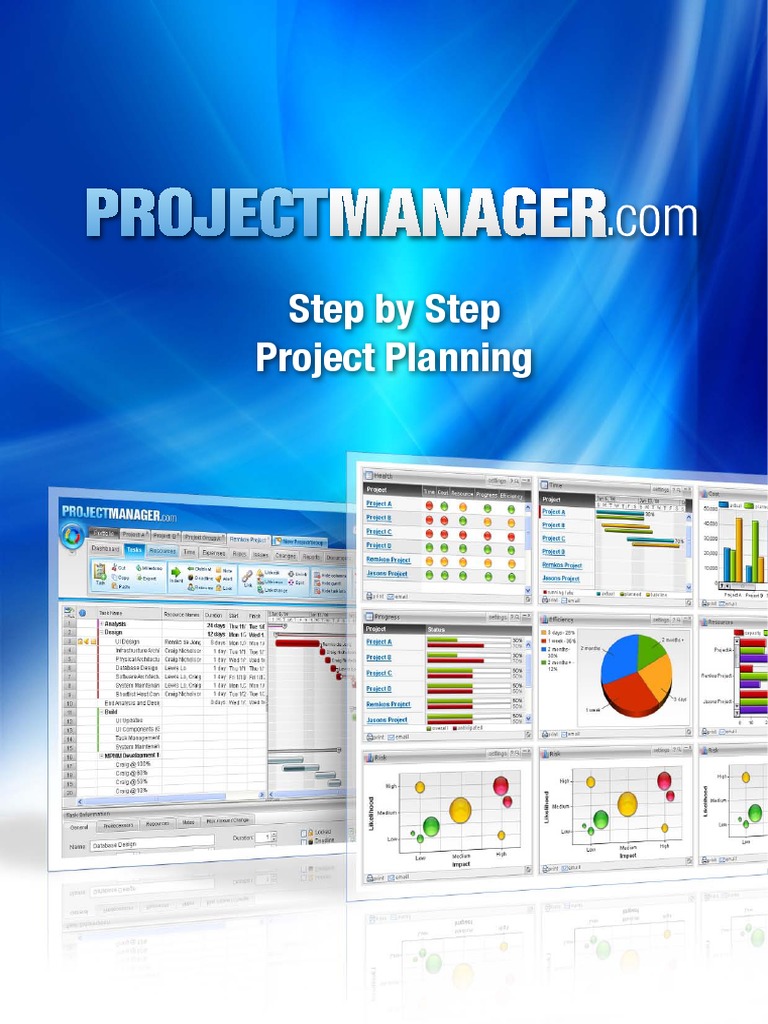 3 Step by Step Project Planning | PDF