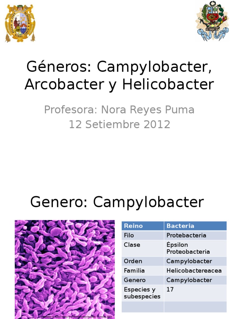 Clase 6-2°cap Campylobacter, Arcobacter y Helicobacter (1) | Bacterias ...