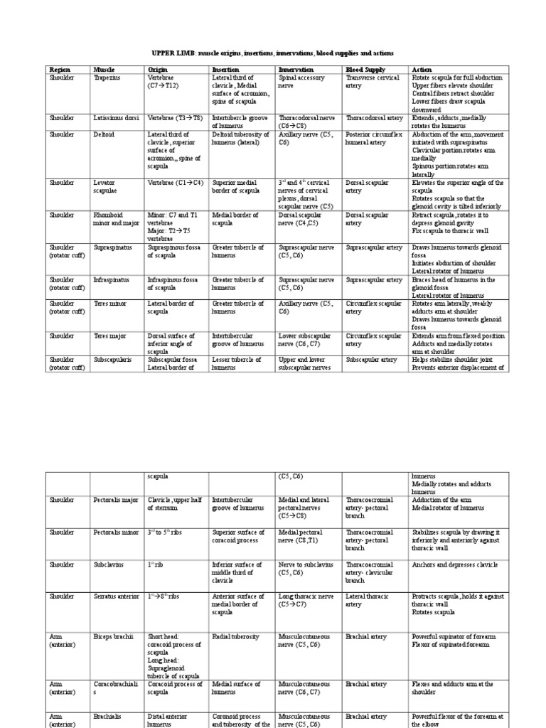 Upper Limb Chart | PDF | Thumb | Hand