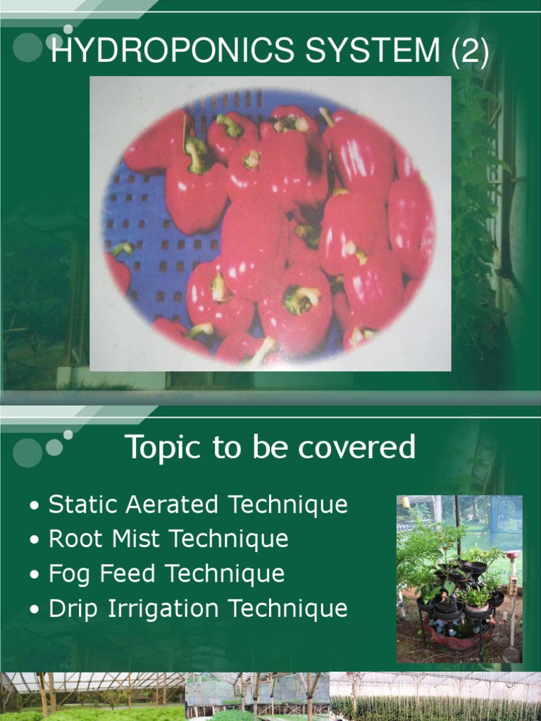 10-Hydroponics System PDF | PDF | Irrigation | Hydroponics