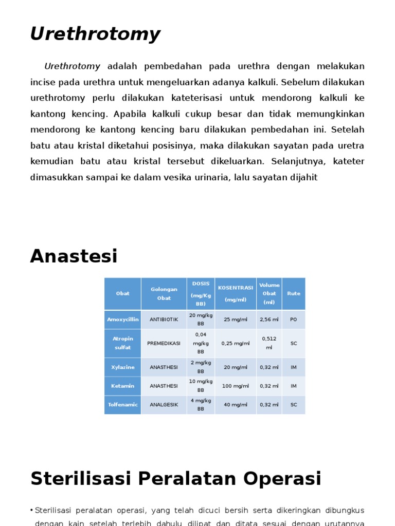 Urethrotomy | PDF | Sains & Matematika