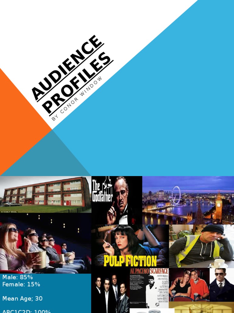 Audience Profiles for Film Enthusiasts | PDF | Lifestyle