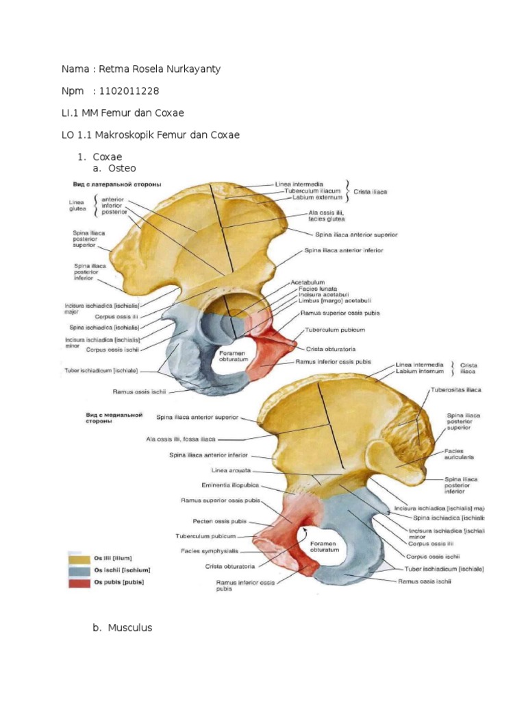 Fraktur Collum Femur | PDF