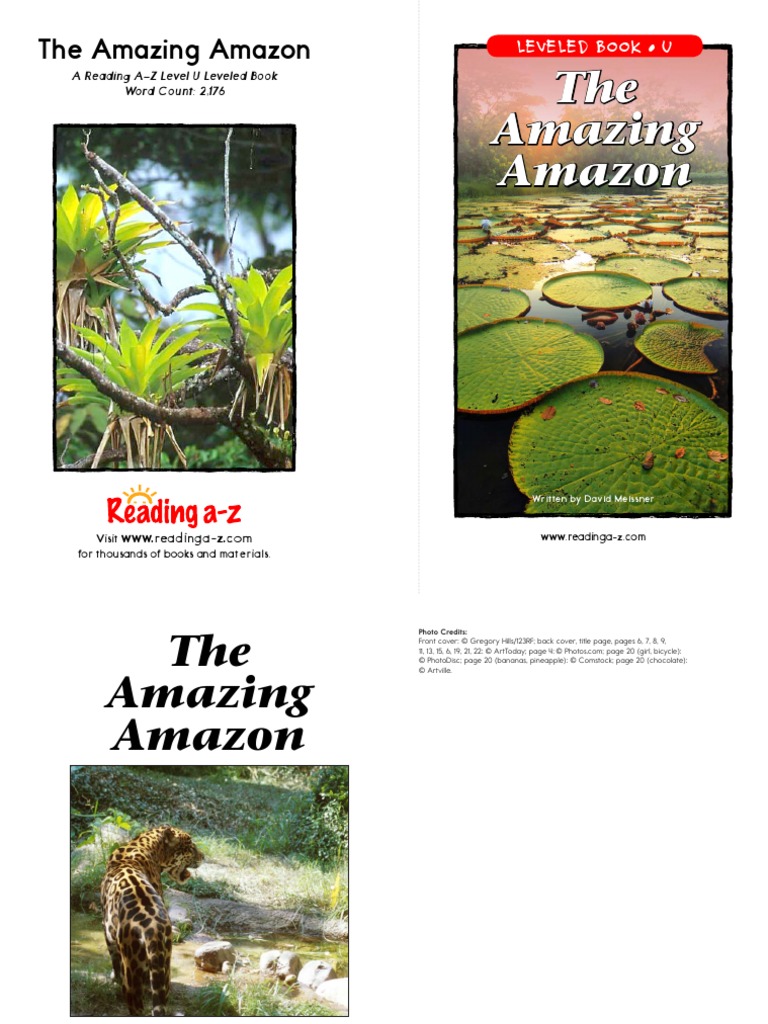 The Amazing Amazon 1 | PDF | Rainforest | Amazon Rainforest