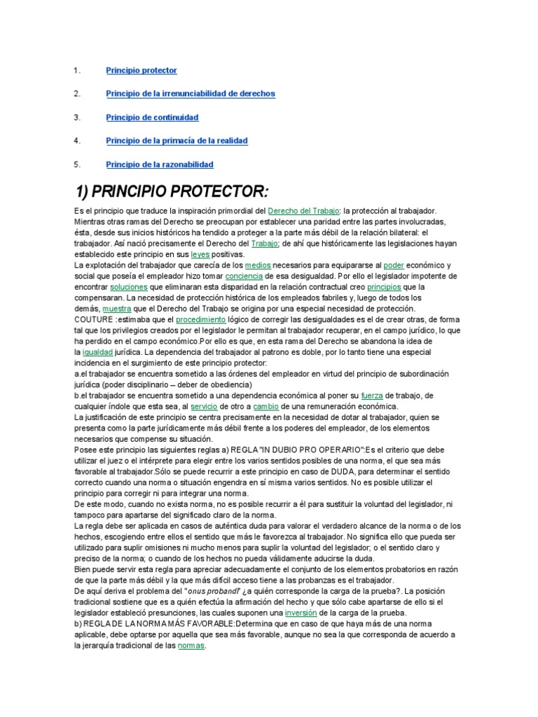 Principio Protector | PDF | Derecho laboral | Ley estatutaria
