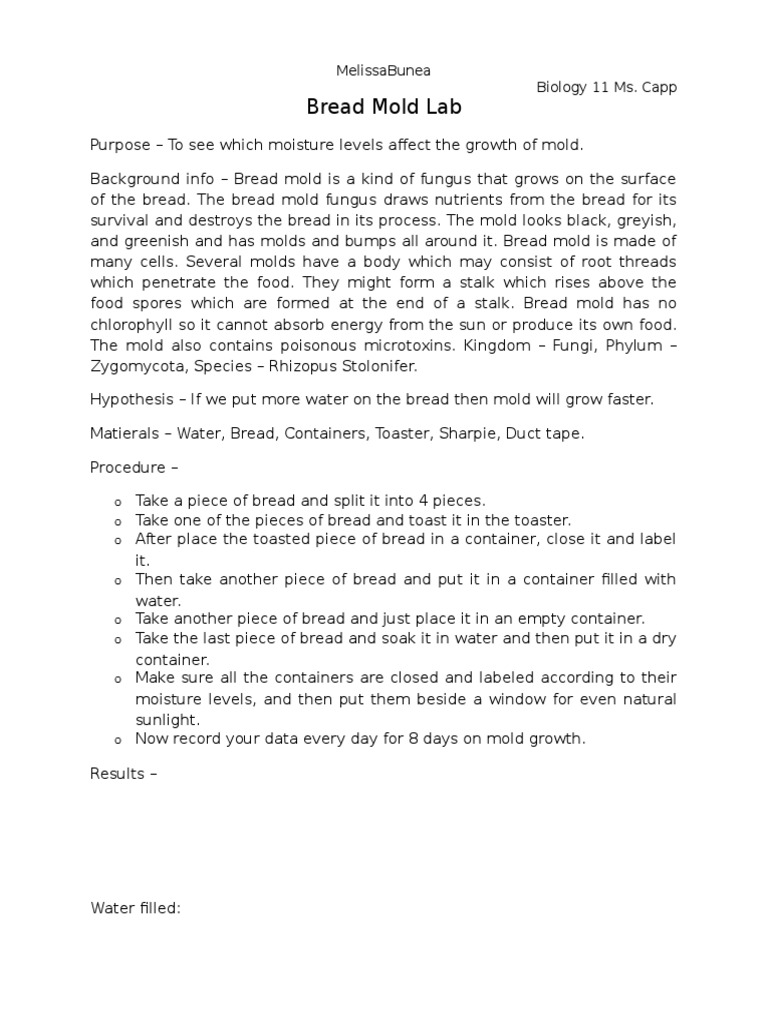 Bread Mold Lab | PDF | Mold | Fungus