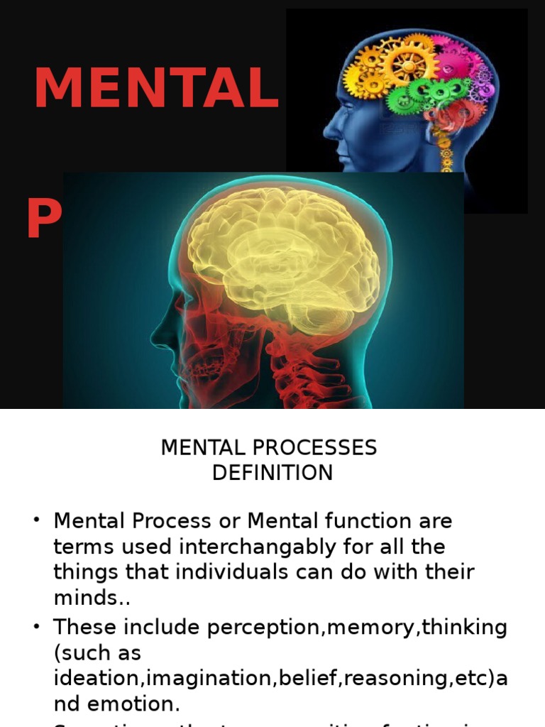 Mental Processes | PDF | Mind | Thought