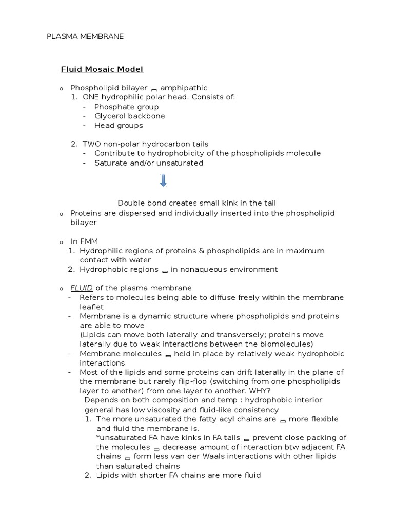 Plasma Membrane Notes | PDF | Phospholipid | Cell Membrane