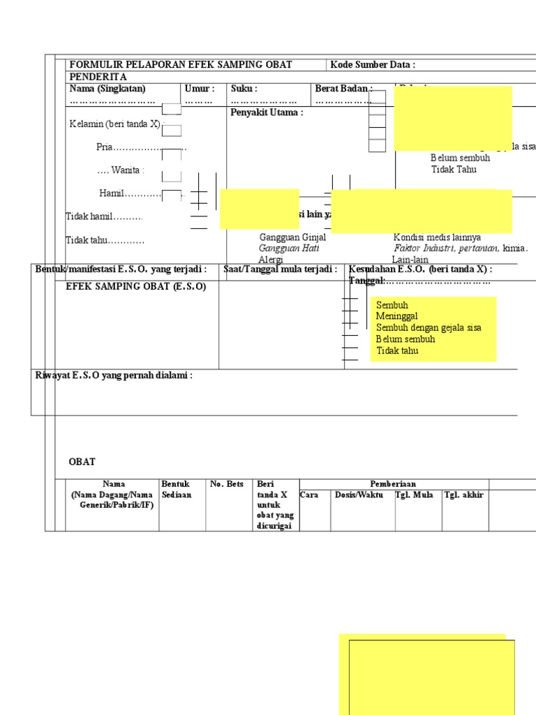 Form Kuning MESO-1 | PDF