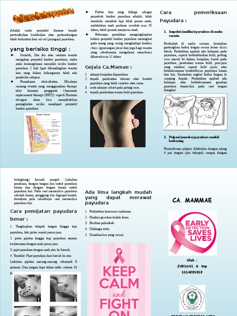 Leaflet CA Mammae | PDF