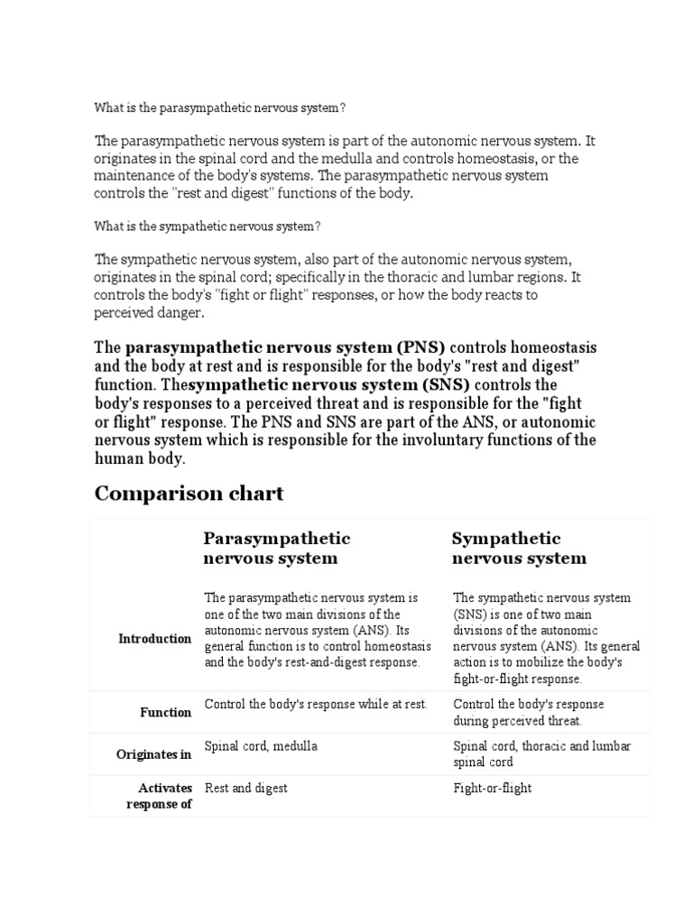 What Is The Parasympathetic Nervous System | PDF | Autonomic Nervous ...