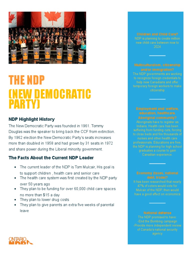 The NDP Poster | PDF