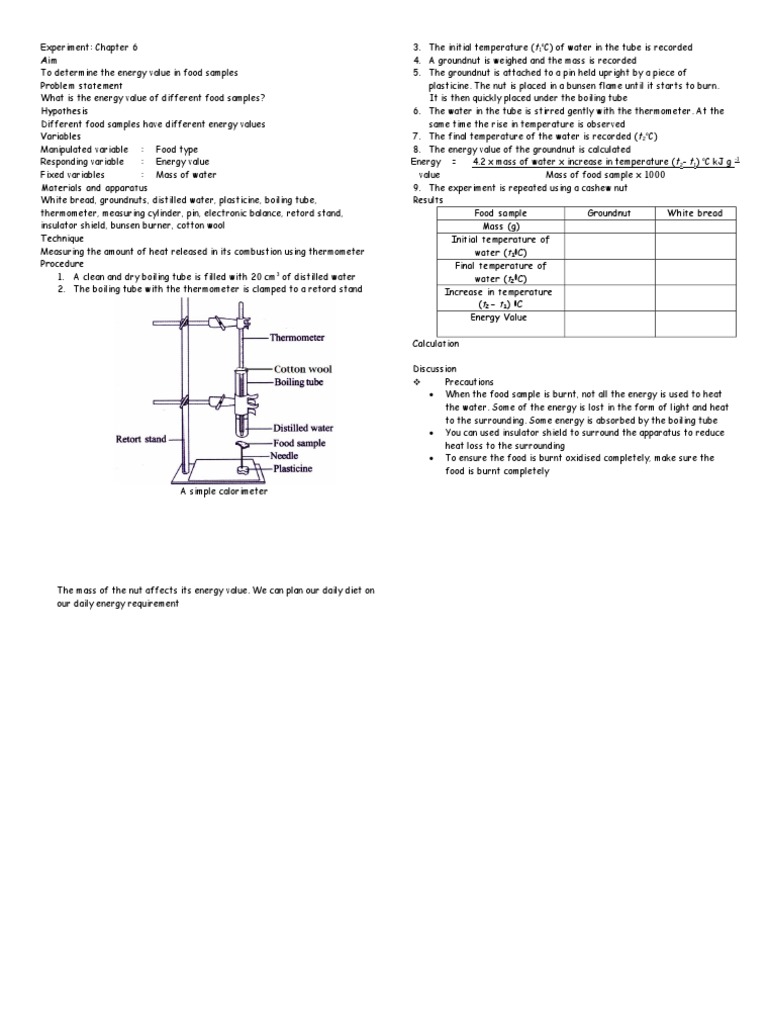 Food Energy Experiment Guide | PDF | Cooking, Food & Wine