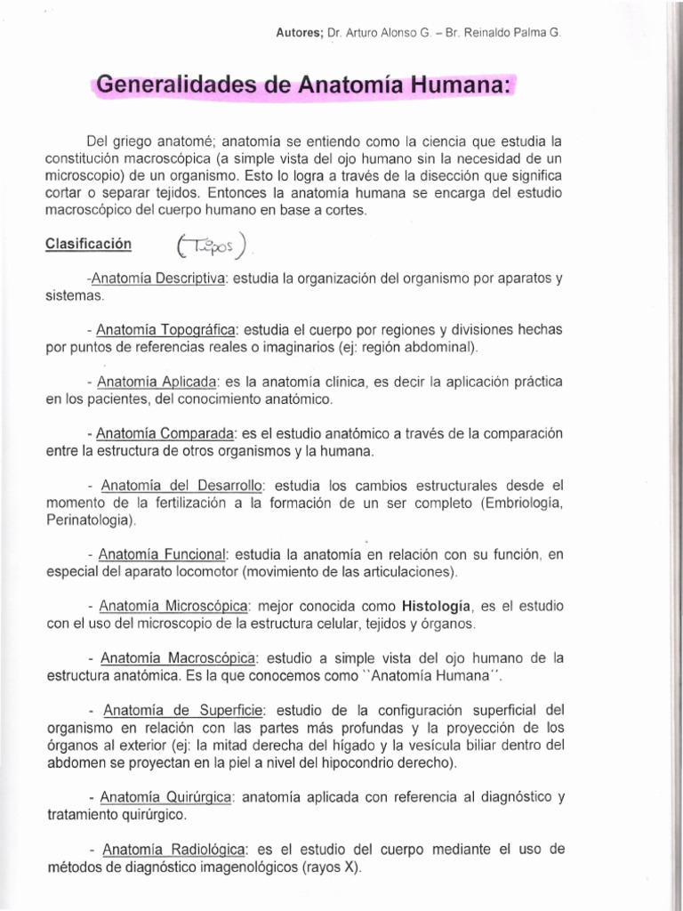 Generalidades Anatomía | PDF | Términos anatómicos de ubicación | Anatomía