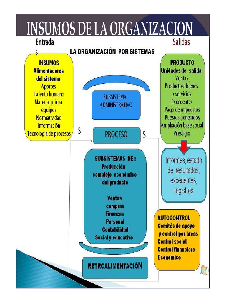Insumos de Organizacion | PDF | Comportamiento | Calidad (comercial)