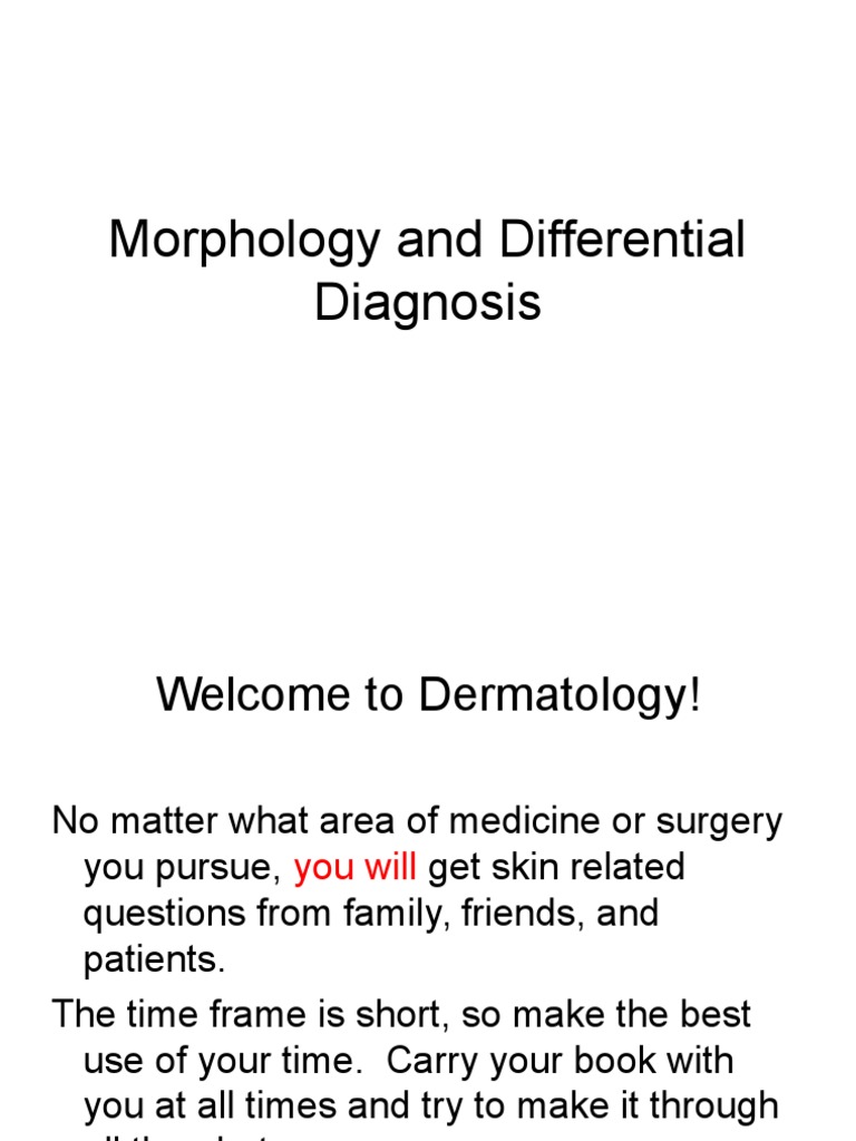 Morphology of The Skin | PDF | Cutaneous Conditions | Dermatology