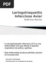 PIOTÓRAX | PDF | Medicina | Inmunología