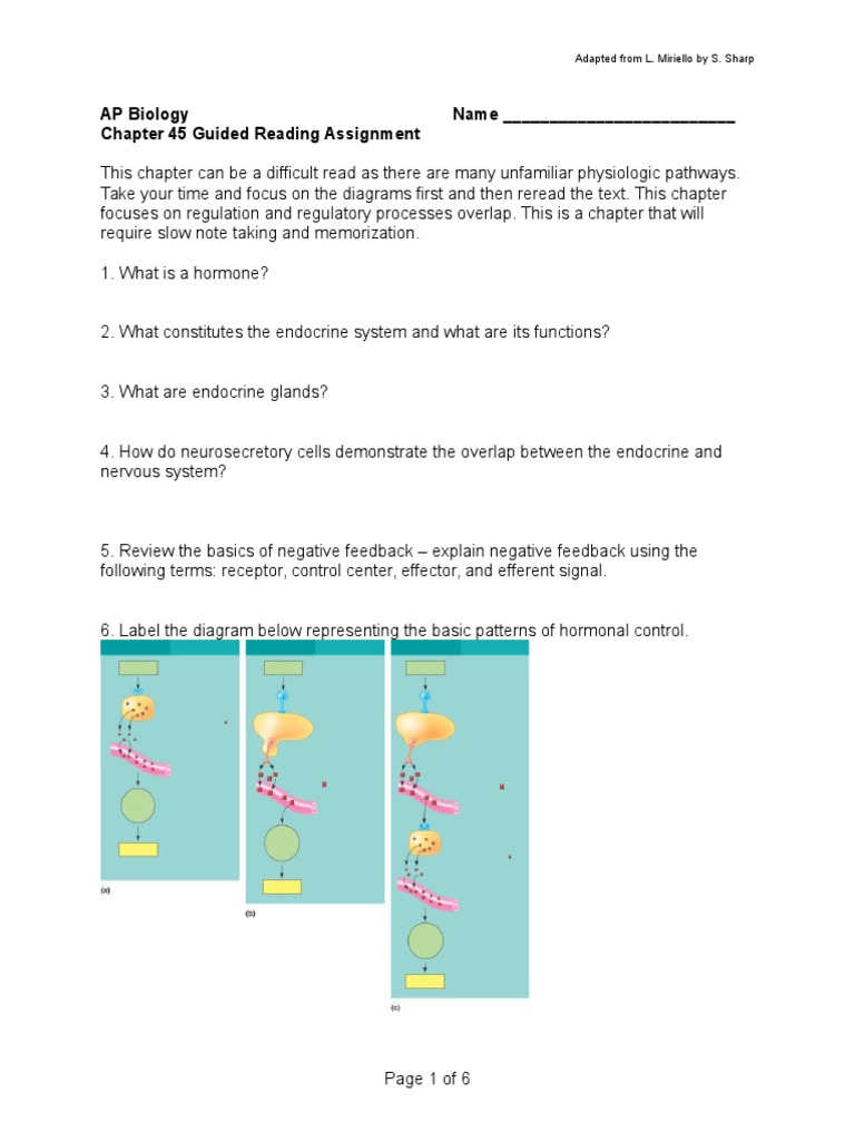 AP Biology - CH 45 Guided Reading | PDF | Hormone | Endocrine System