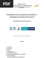 Lineamientos Generales PVU 2024 Alta | PDF