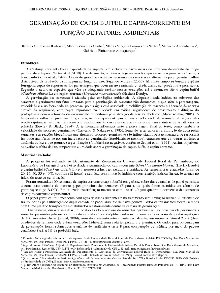 Germinação de Capim Buffel e Corrente | PDF | Germinação | Semente