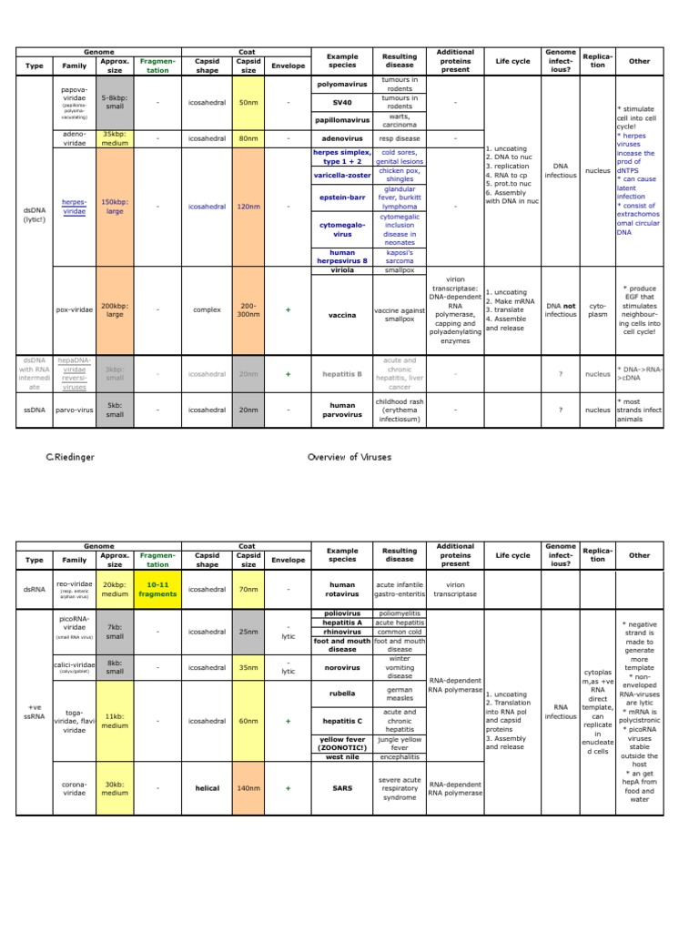 Virus Table | PDF | Virus | Rna