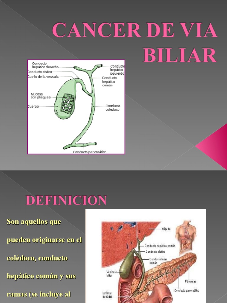 Cancer de Via Biliar | Vesícula biliar | Sistema digestivo