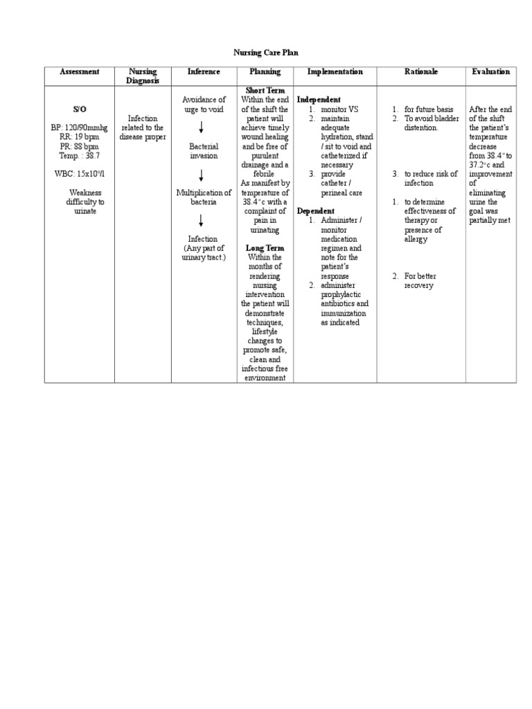 Nursing Care Plan (Uti) | PDF