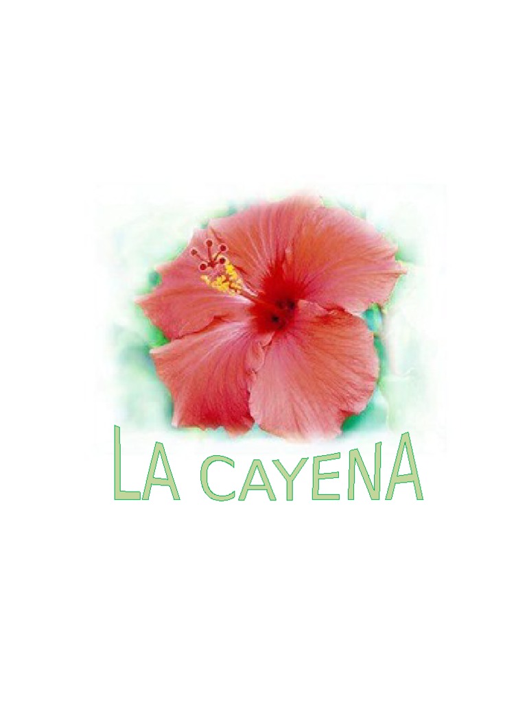 CAYENA | PDF | Tallo de la planta | Ramas de la botánica