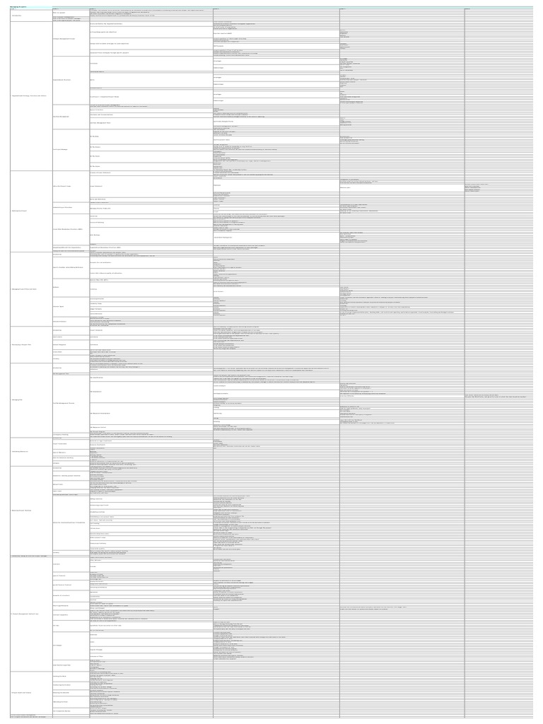 Managing Projects Level 1 Level 2 Level 3 Level 4 Level 5 Level 6