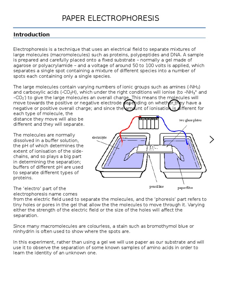 Paper Electrophoresis | PDF | Gel Electrophoresis | Laboratories