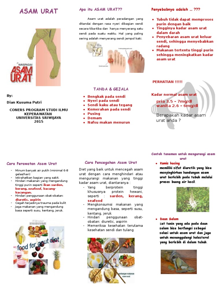 Leaflet Asam Urat | PDF
