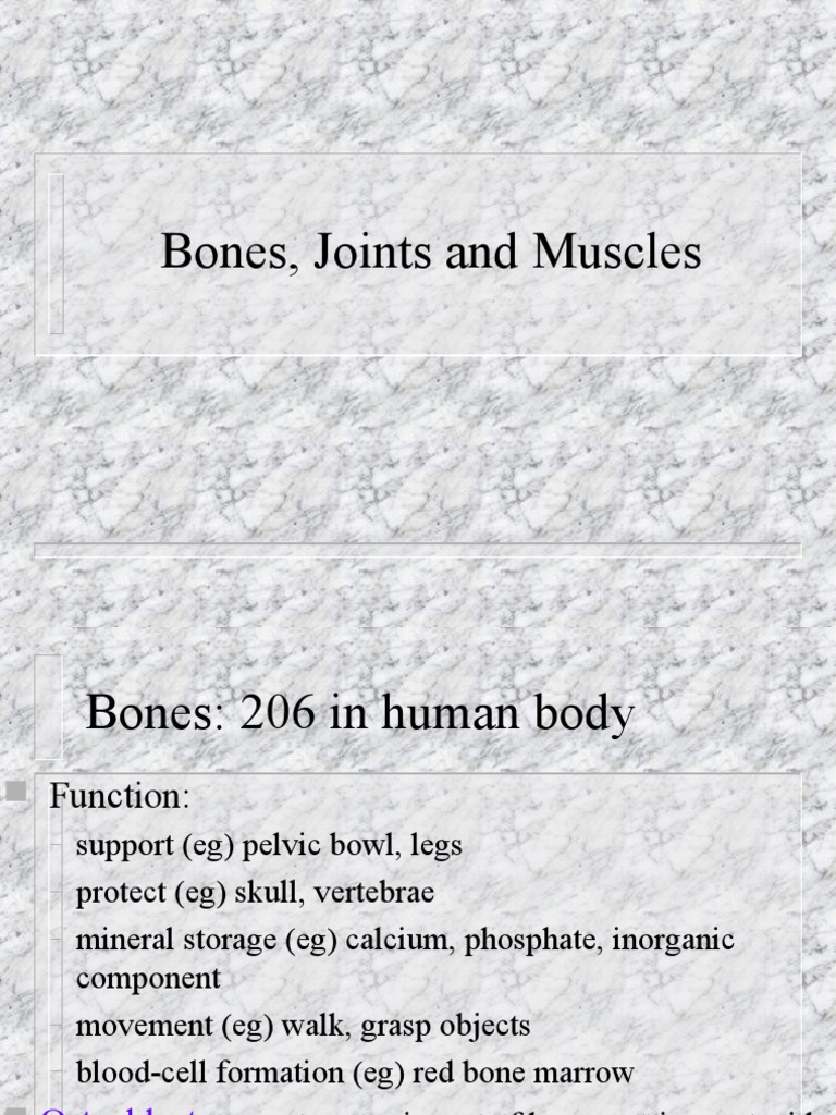 Bones, Joints, Muscles | PDF | Bone | Osteoblast