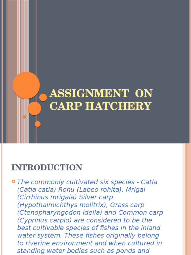 Carp Hatchery | PDF | Spawn (Biology) | Fish And Humans