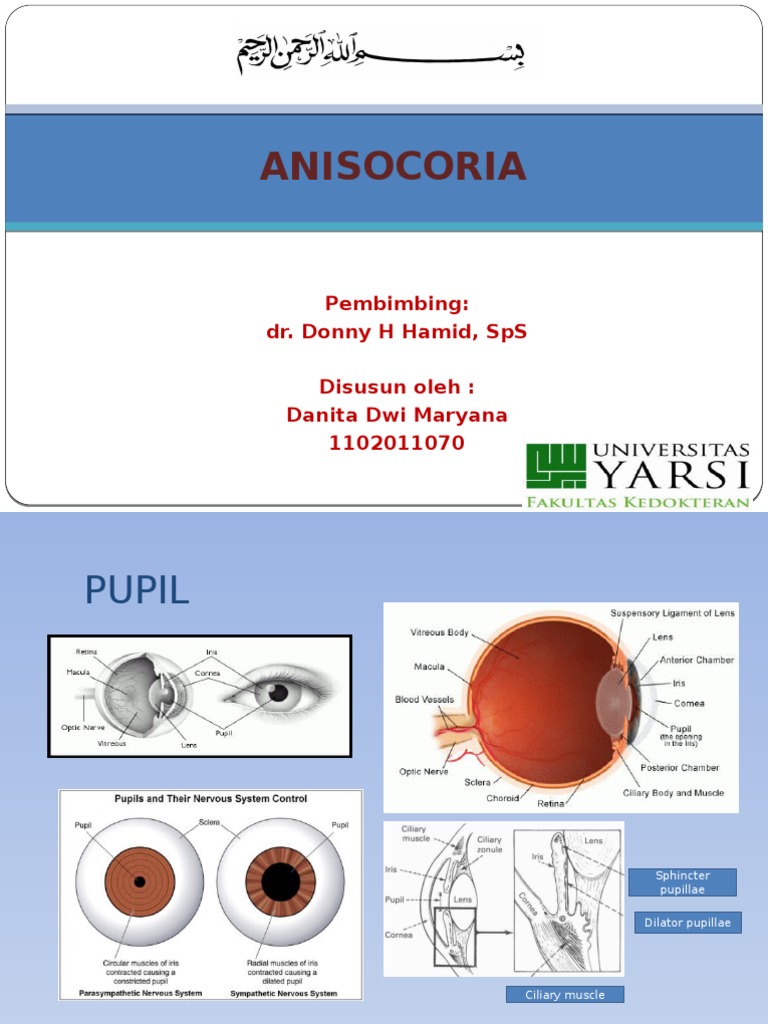 Anisocoria | PDF | Human Eye | Human Head And Neck