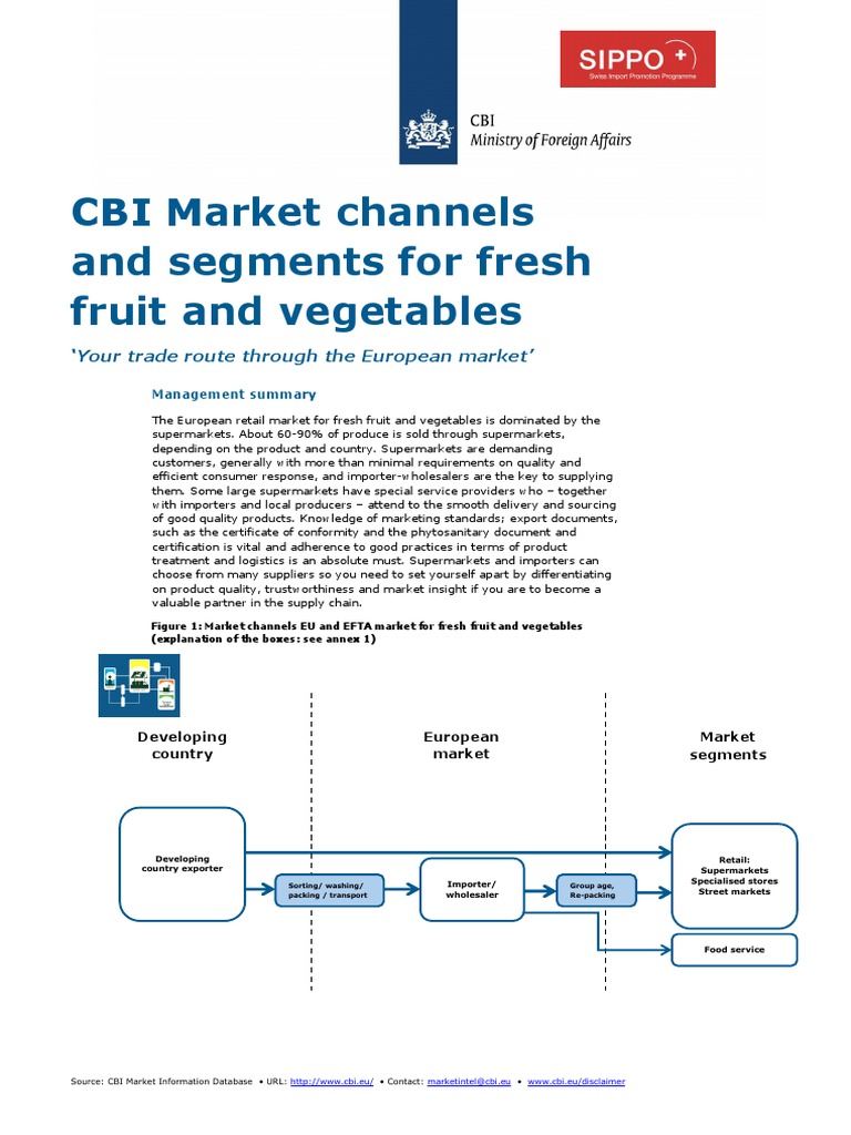 CBI Channels Segments Europe Fresh Fruit Vegetables 2014 | PDF | Supermarket | Market (Place)