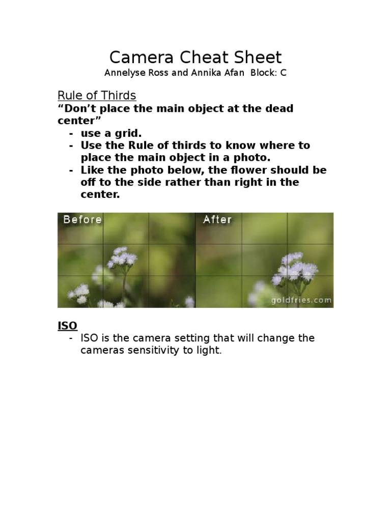 Camera Cheat Sheet | PDF | Technology & Engineering
