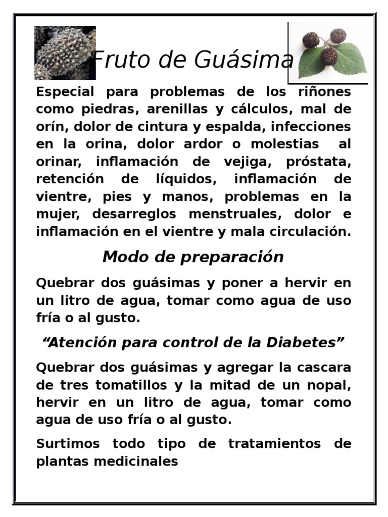 Beneficios del Guásimo para la Salud | PDF | Urología | Enfermedades y ...