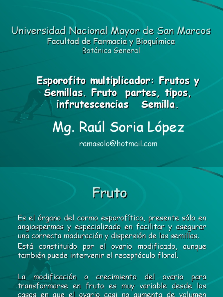 Fruto y Semilla | PDF | Plantas de jardín | Fruta