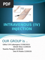 IV Piggyback Medication Administration Steps | PDF | Intravenous ...
