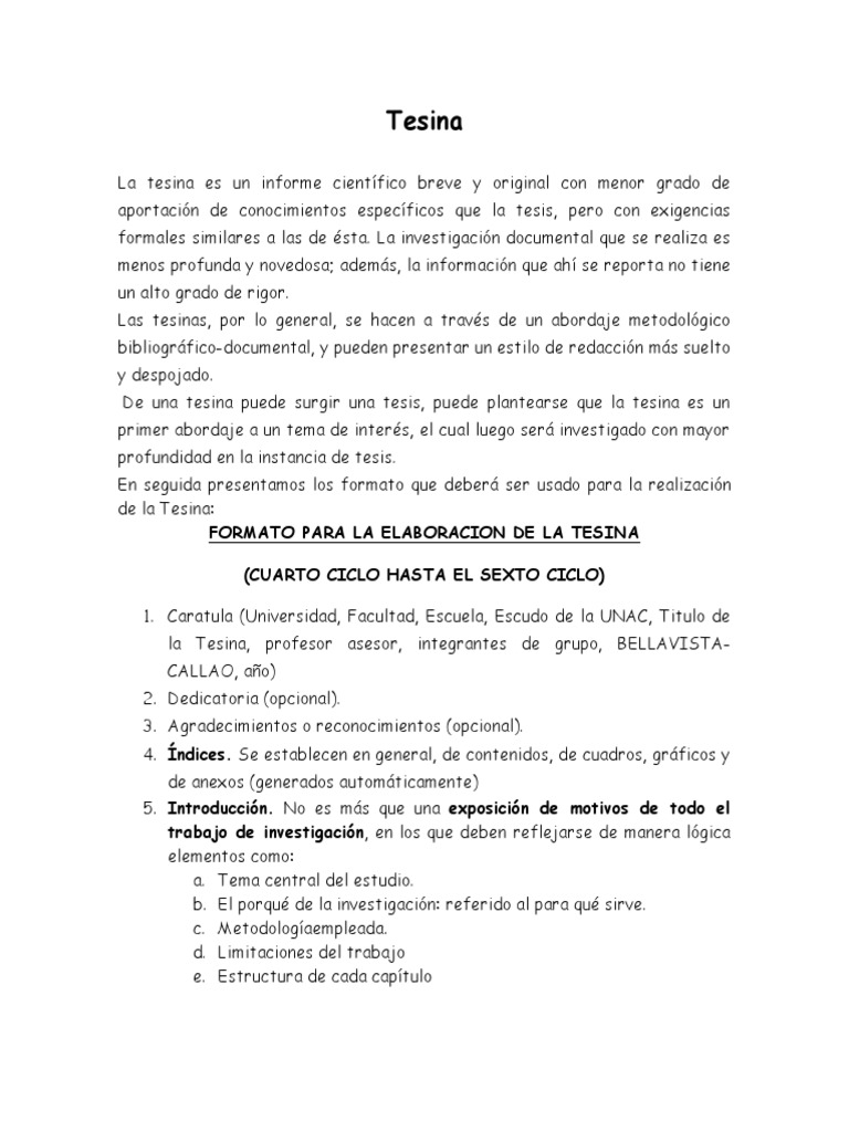 Formato de Tesina | PDF