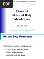 Friction Ridge Skin Morphogenesis and Overview | PDF | Epidermis | Hand