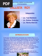 Historia de Marilyn Anne Ray Enfermera | PDF | Enfermería | Mente