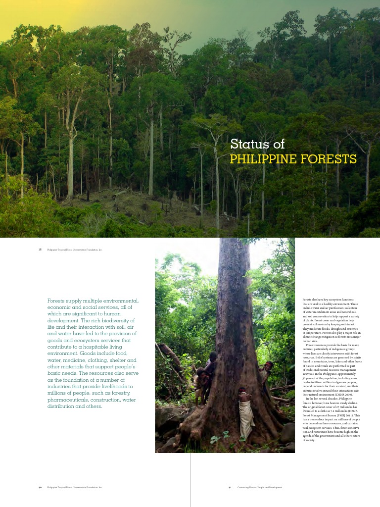Status of Philippine Forests | PDF | Conservation Biology | Deforestation
