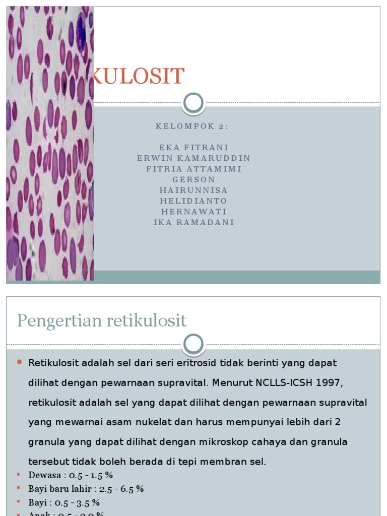 RETIKULOSIT | PDF | Pengembangan Diri | Sains & Matematika