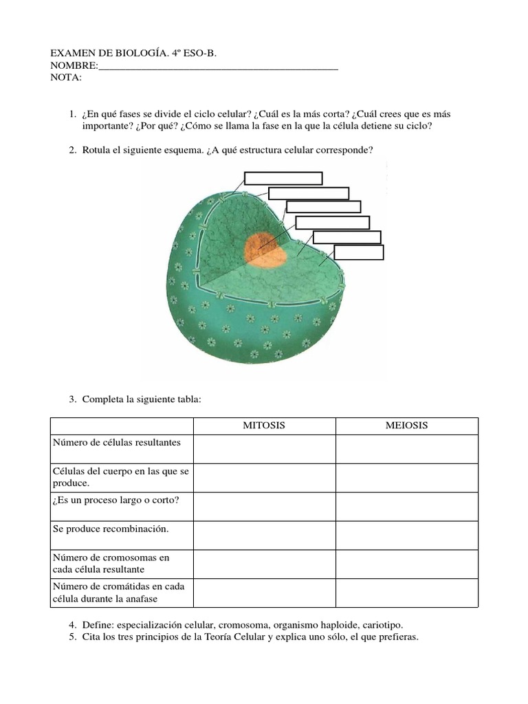 Examen de Biología: La Célula 4º ESO | PDF