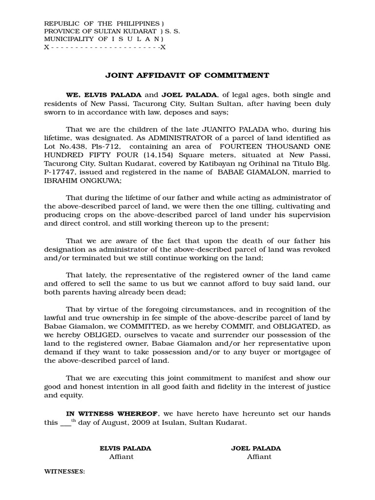 Affidavit of Commitment | Affidavit | Government