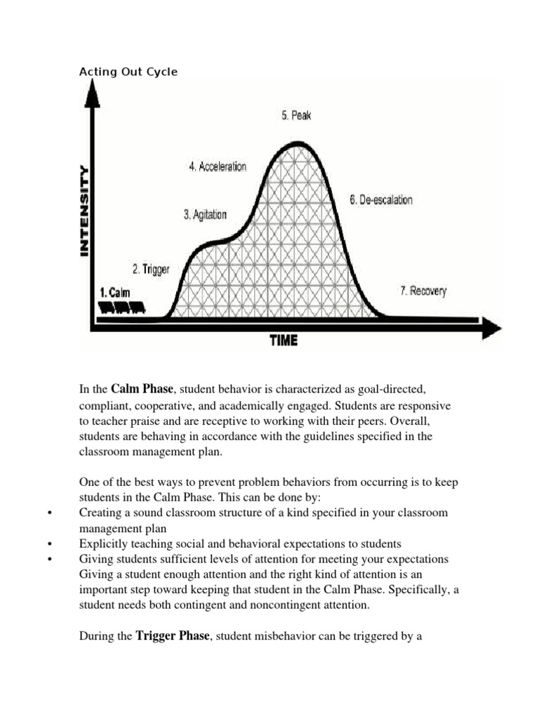 Acting Out Cycle | PDF | Applied Psychology | Learning