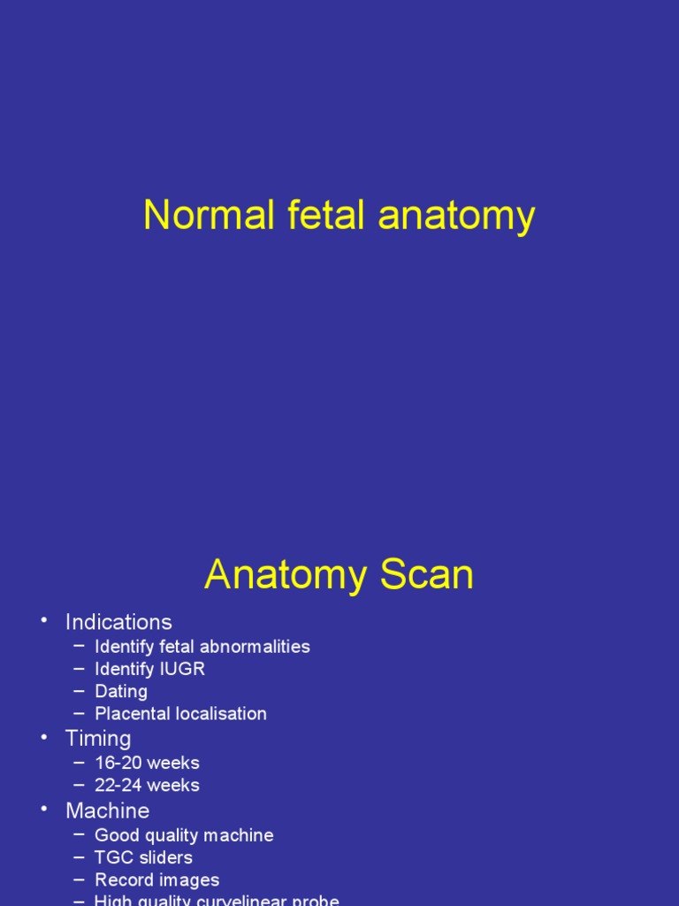 Normal Fetal Anatomy2 | PDF