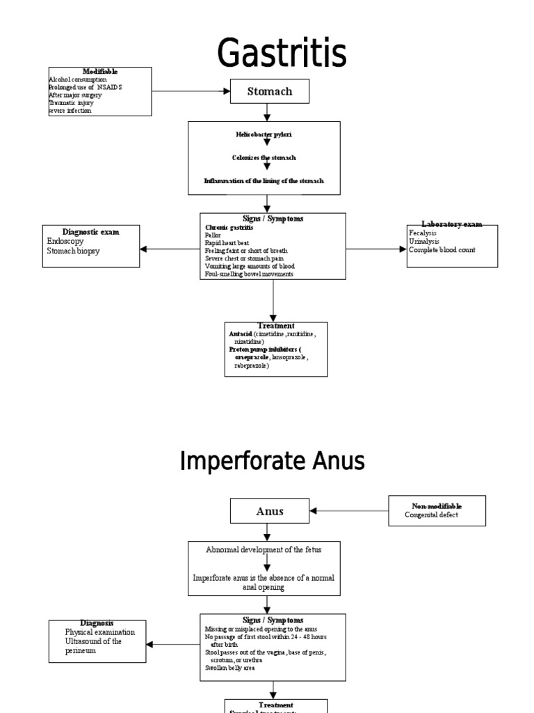 Pathophysiology of Gastritis Overview | PDF | Digestive System ...